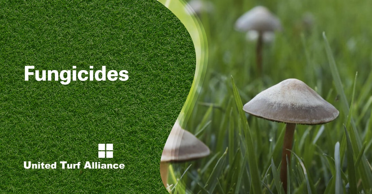 ArmorTech Fungicides | Control Fungi and Protect Your Turf
