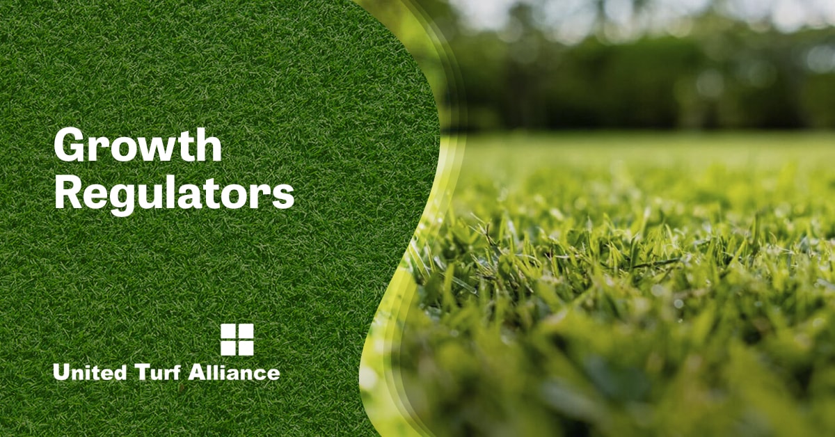 ArmorTech Growth Regulators | Manage the Growth of Your Turf