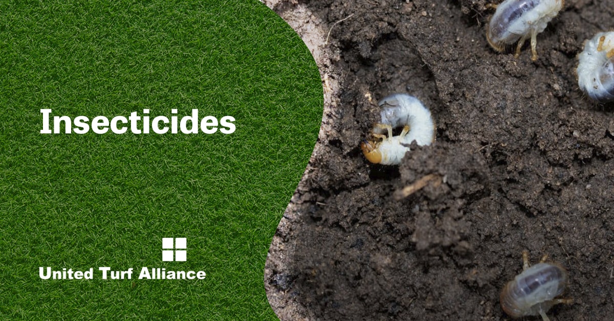 Explore ArmorTech Insecticides | Advanced Control and Protection