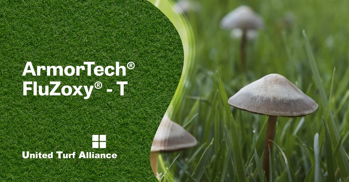 Armortech FluZoxy-T Fungicide for Golf Courses | United Turf Alliance